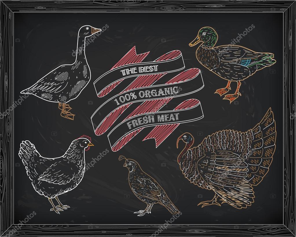 Beautiful hen quail turkey duck goose quail Stock Vector by ©bugege ...