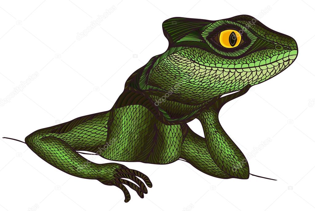 Profile Lizard. Hand drawn. Stock Illustration by ©Gala2205 #106189068