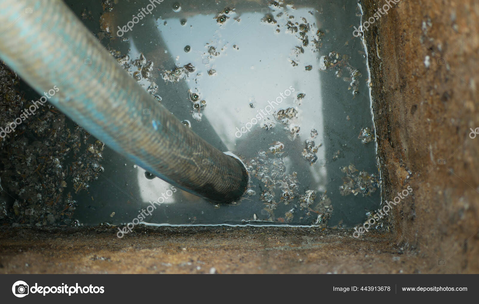 Septic cesspool emptying pumping into pipe tank by suction hose under ...