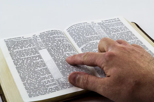 Bible white background Images - Search Images on Everypixel