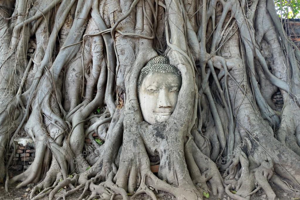 Buddha head in tree root, Ayutthaya — Stock Photo © arraymax #89129238