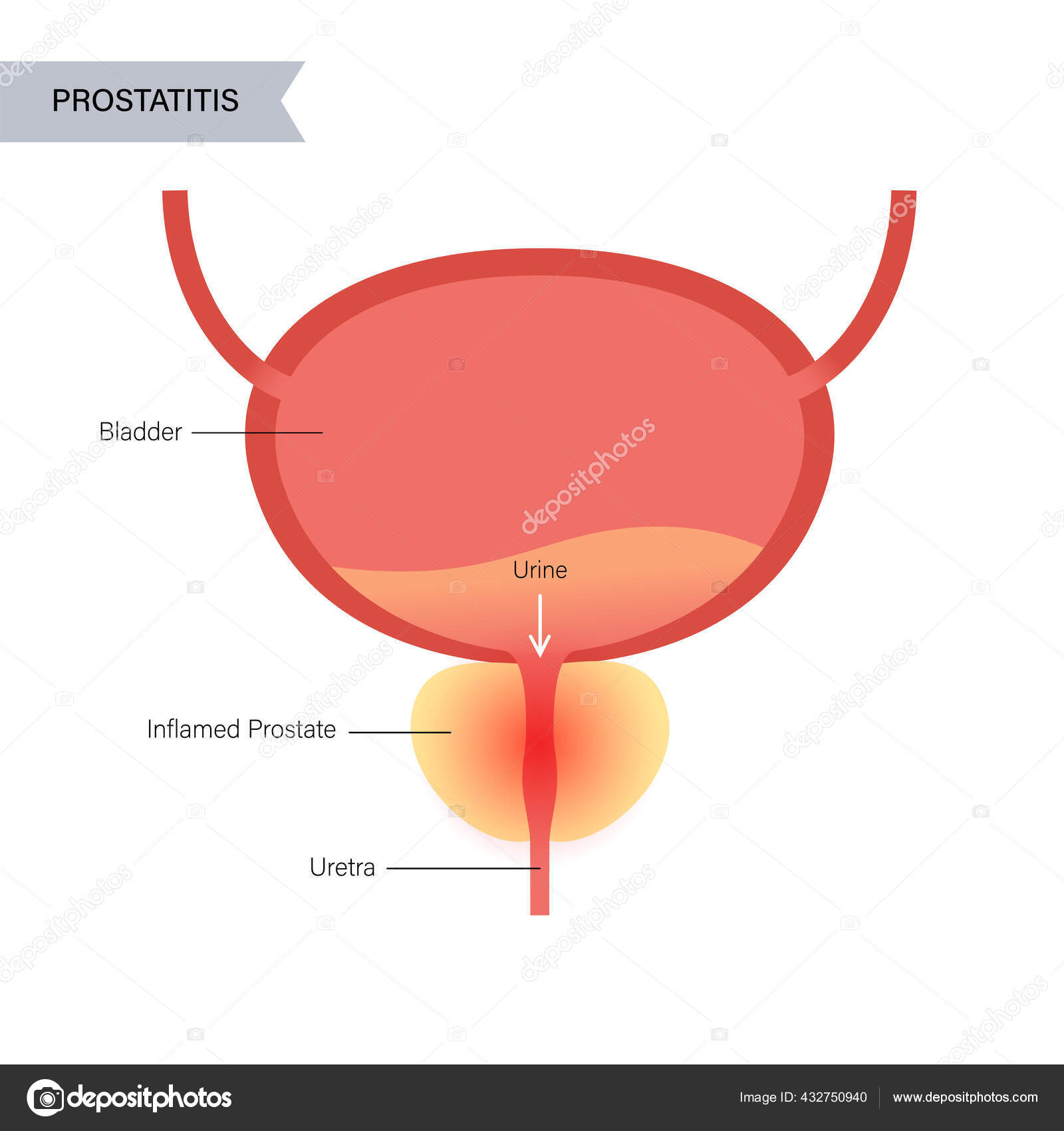 Normal bones concept Stock Vector Image by ©Pikovit #432750940