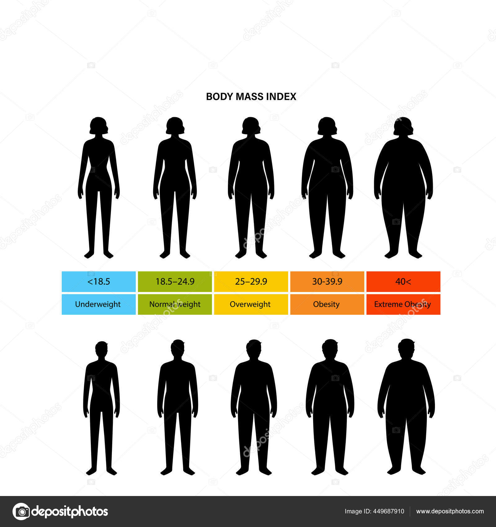 Body Mass Index Stock Vector By ©pikovit 449687910