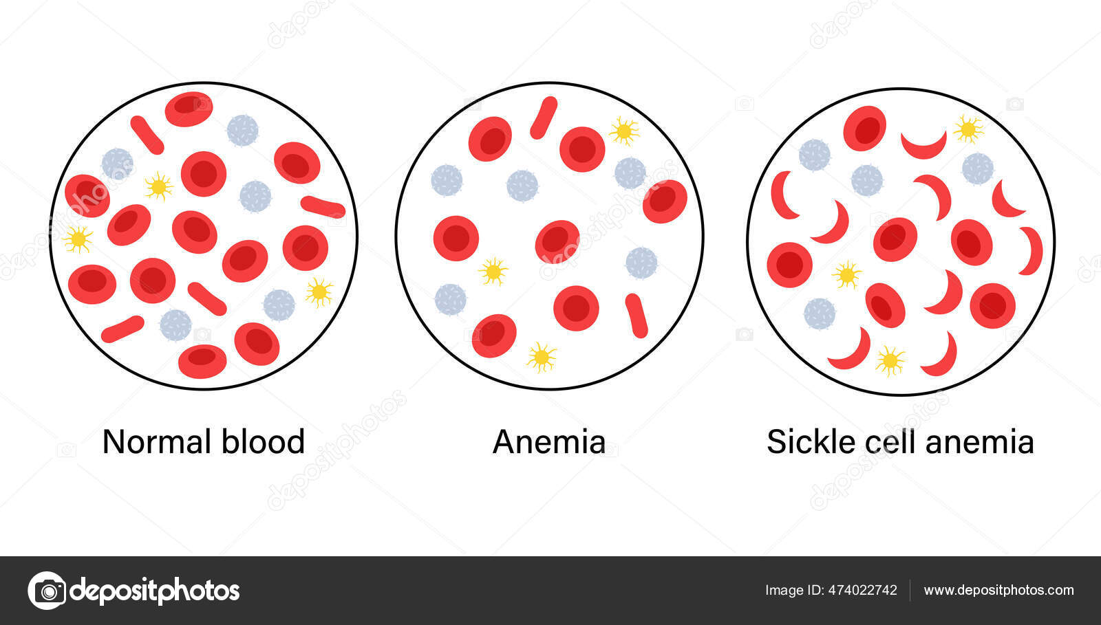 Blood structure concept Stock Vector by ©Pikovit 474022742