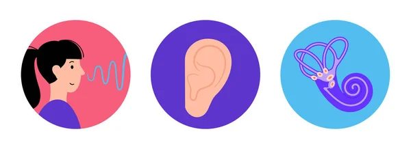 100,000 Vestibular system Vector Images | Depositphotos