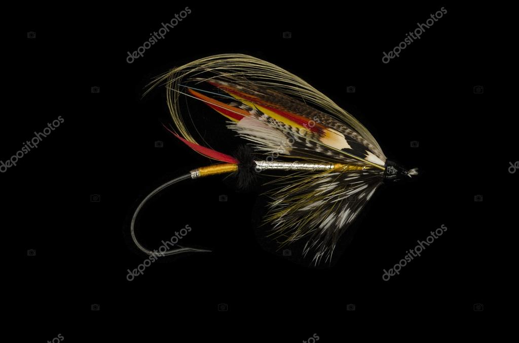 Dusty Miller Salmon Fly — Stock Photo © stock@photographyfirm.co.uk ...
