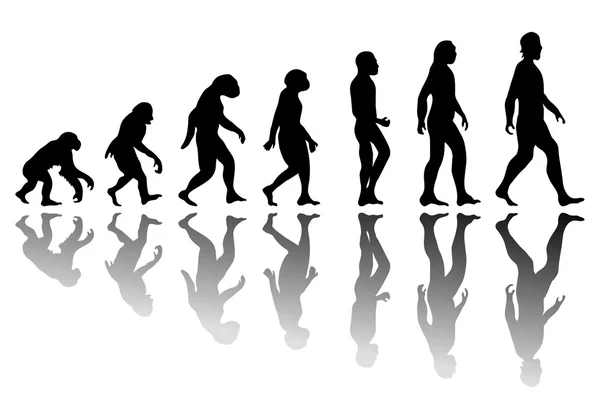 Evolution Vector Art Stock Images | Depositphotos