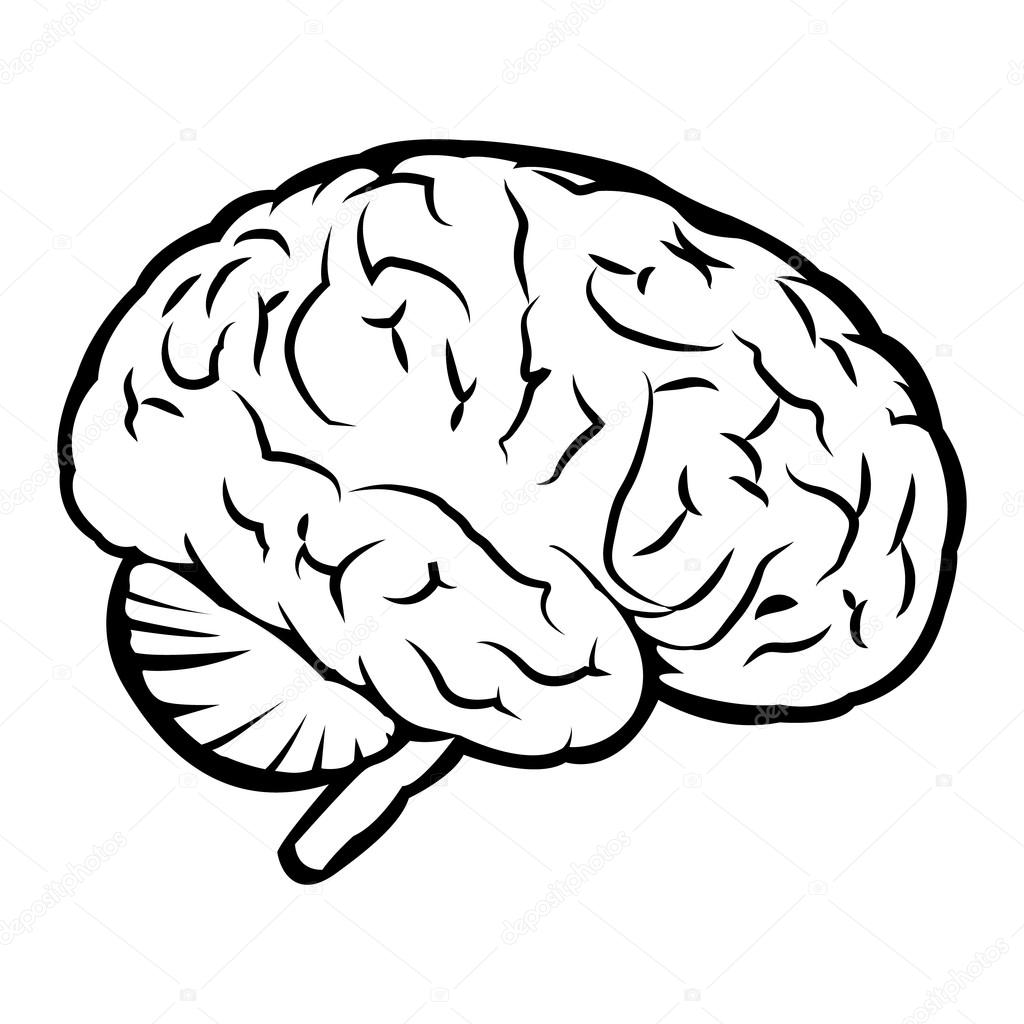 Best human brain sign Stock Vector Image by ©juliarstudio #88085404 Best human brain sign Stock Vector Image by ©juliarstudio #88085404