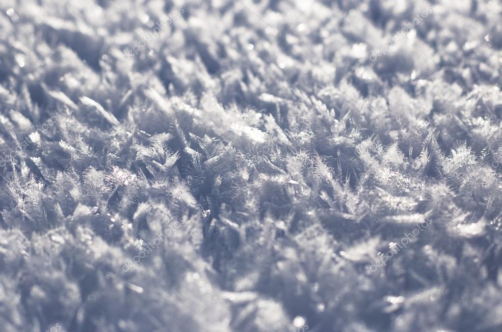 Fotografia Real De Floco De Neve Foto De Real Floco De Neve E Mais