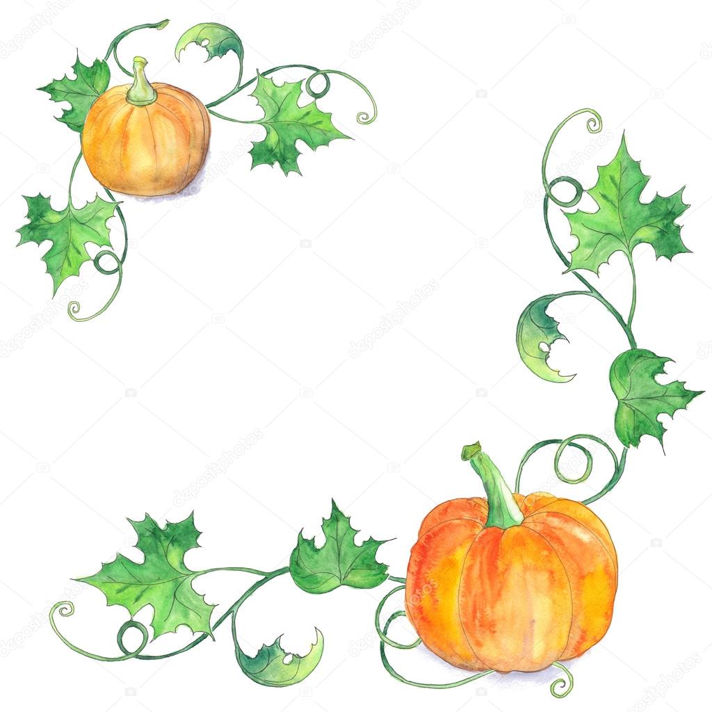 Pumpkin Vines Border