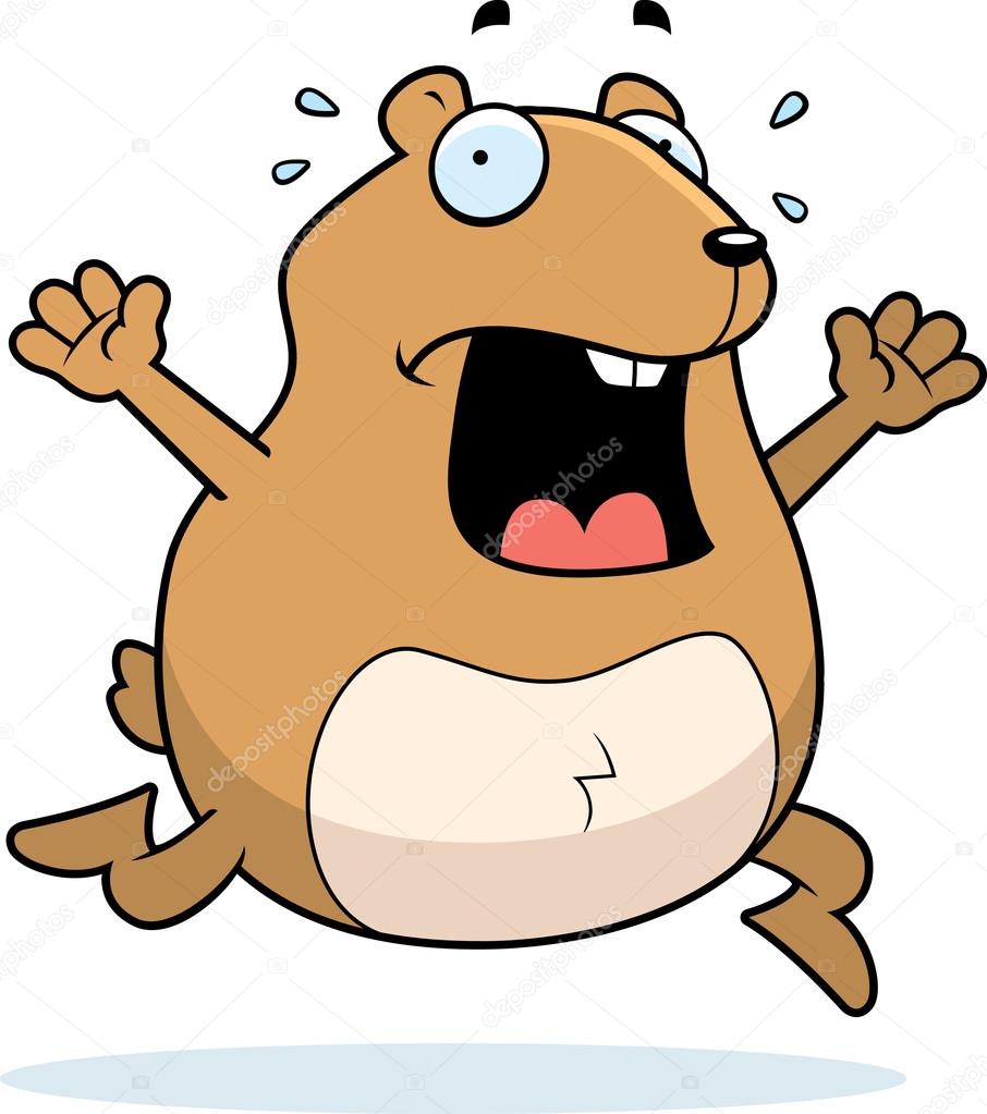 Hamster Panic Stock Vector Image by ©cthoman #84411142