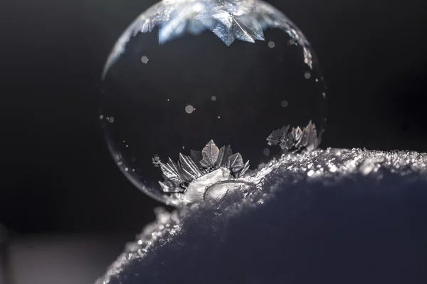 Cool nymphs ice pie pics Stock Photos, Royalty Free Cool nymphs ice pie ...