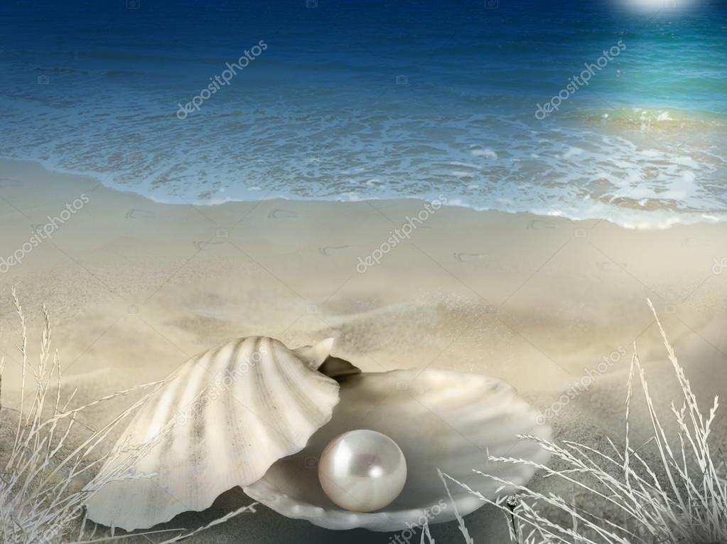 Pearls In Shell In Ocean