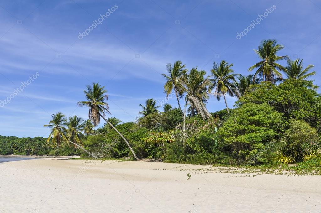 Boipeba Island Beach, Morro de Sao Paulo, Salvador, Brazil Stock Photo ...