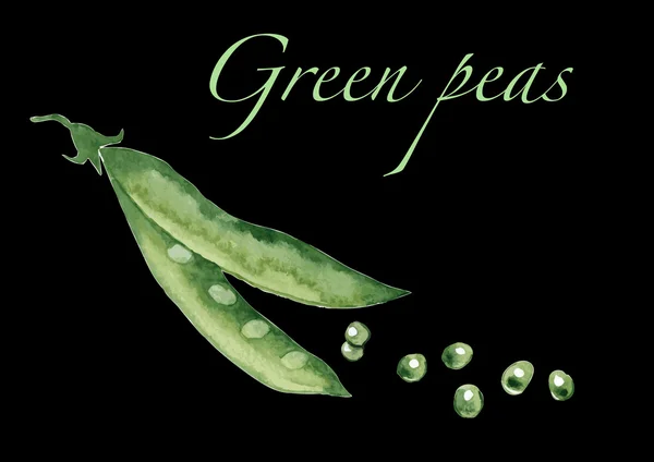 21,888,495 Greenhouse pea Vector Images | Depositphotos