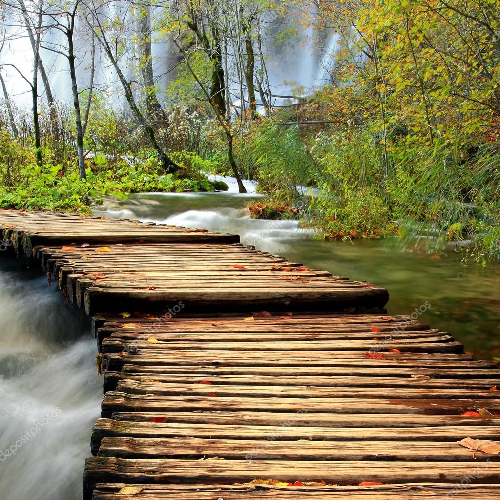 Bridge on the River — Stock Photo © anielik #85032824