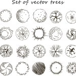 A set of treetop symbols, for architectural or landscape design Stock ...