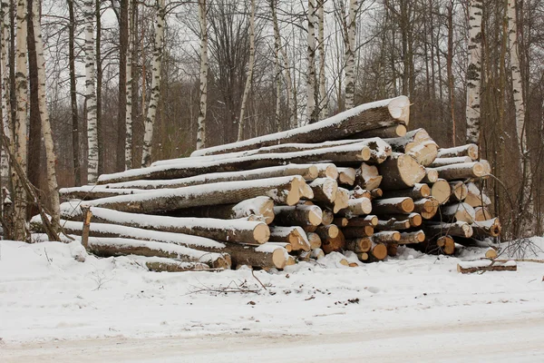 Winter logging Stock Photos, Royalty Free Winter logging Images ...