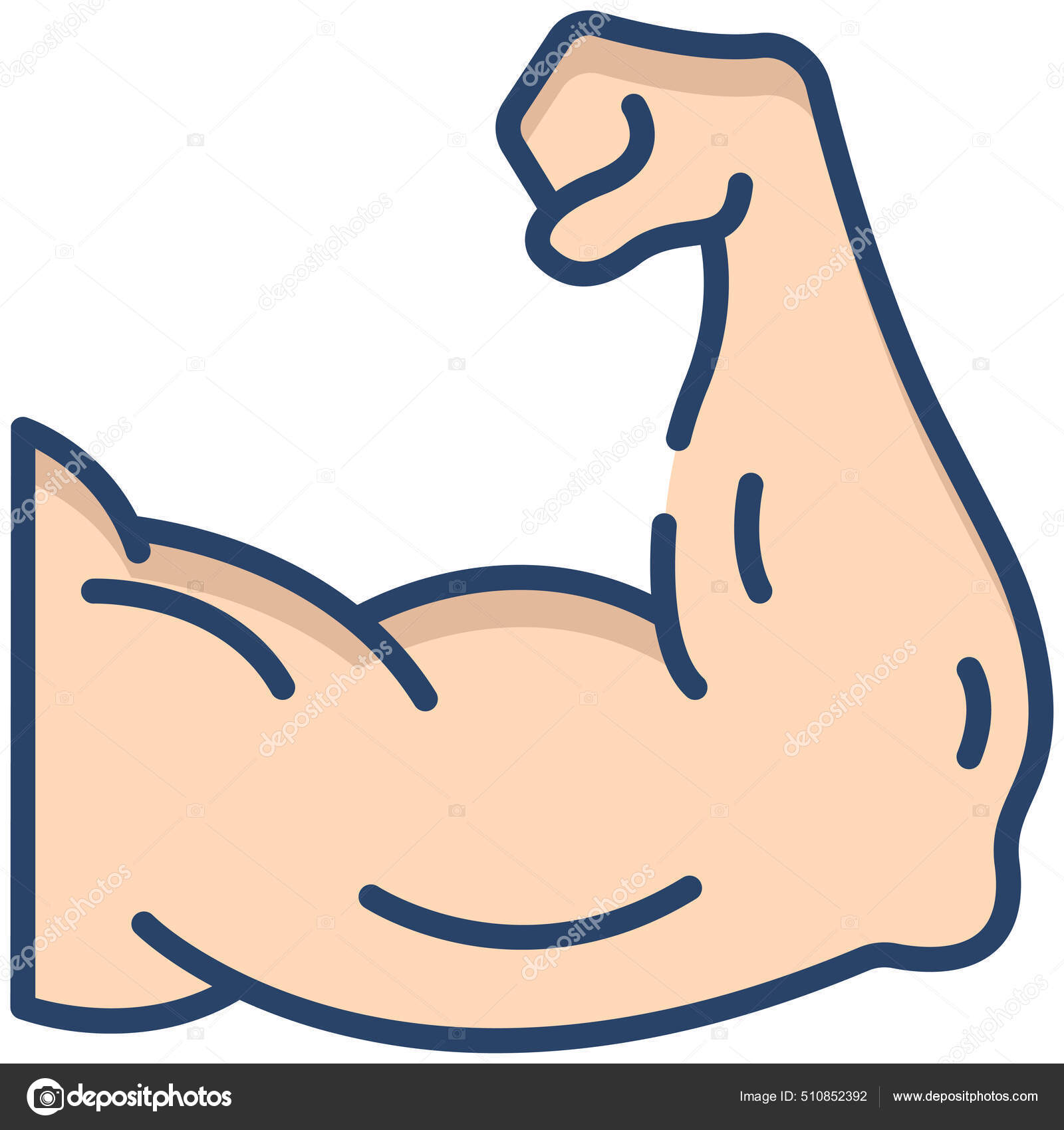 Bicep Muscle Clipart Free