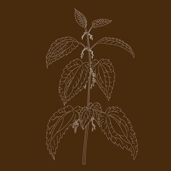 Stinging Stock Vectors, Royalty Free Stinging Illustrations ...