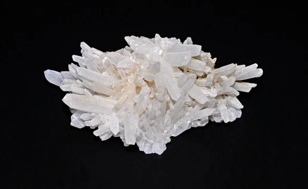 White brain gypsum Stock Photos, Royalty Free White brain gypsum Images ...