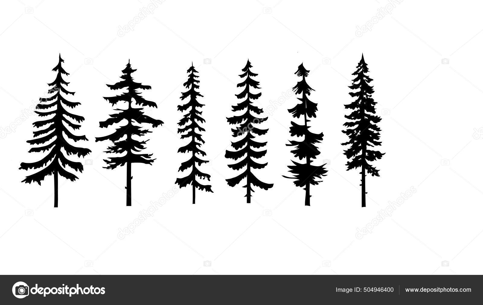 Collection Pine Trees Vector Isolated White Background Stock Vector by ...