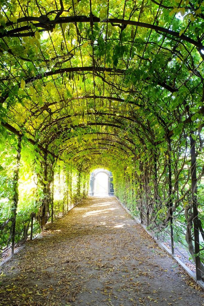 Walk path under green shady trees arch — Stock Photo © yanisapae #89276524