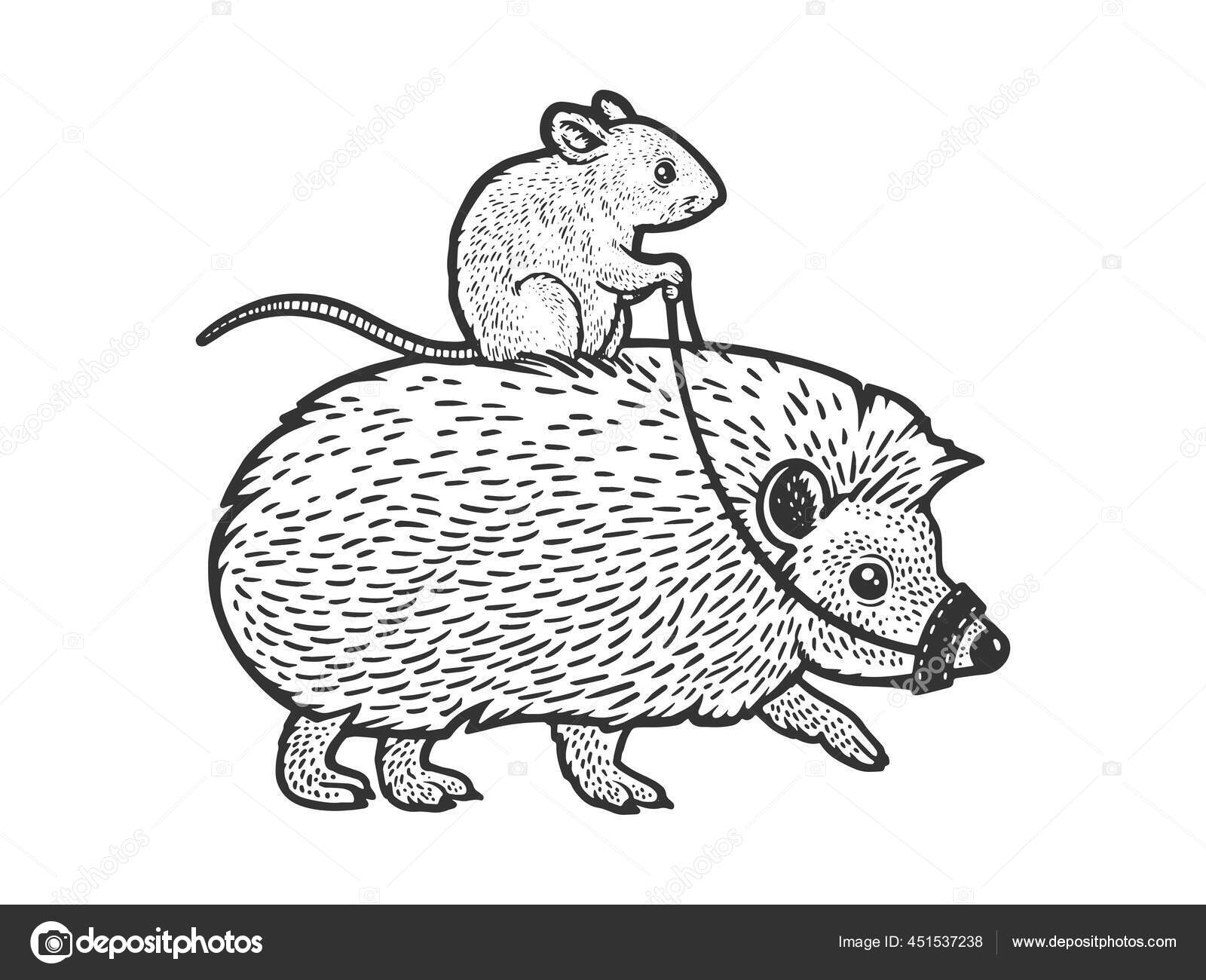 Mouse riding a hedgehog sketch engraving vector illustration. T-shirt ...