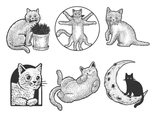 Cat engraving Vector Art Stock Images | Depositphotos