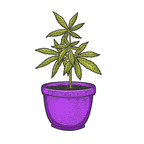 Animated Weed Plant