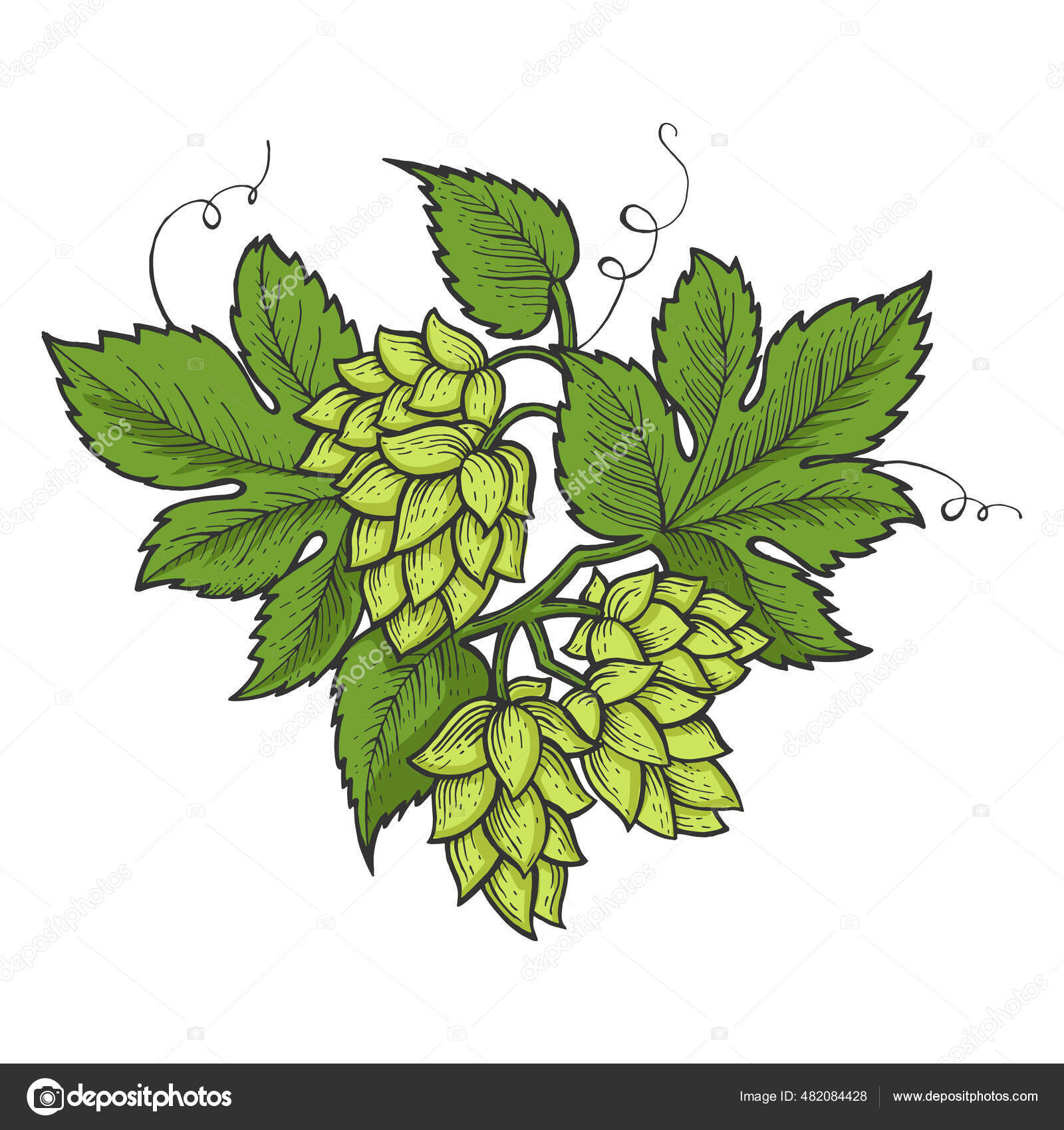 Beer Hop Clip Art