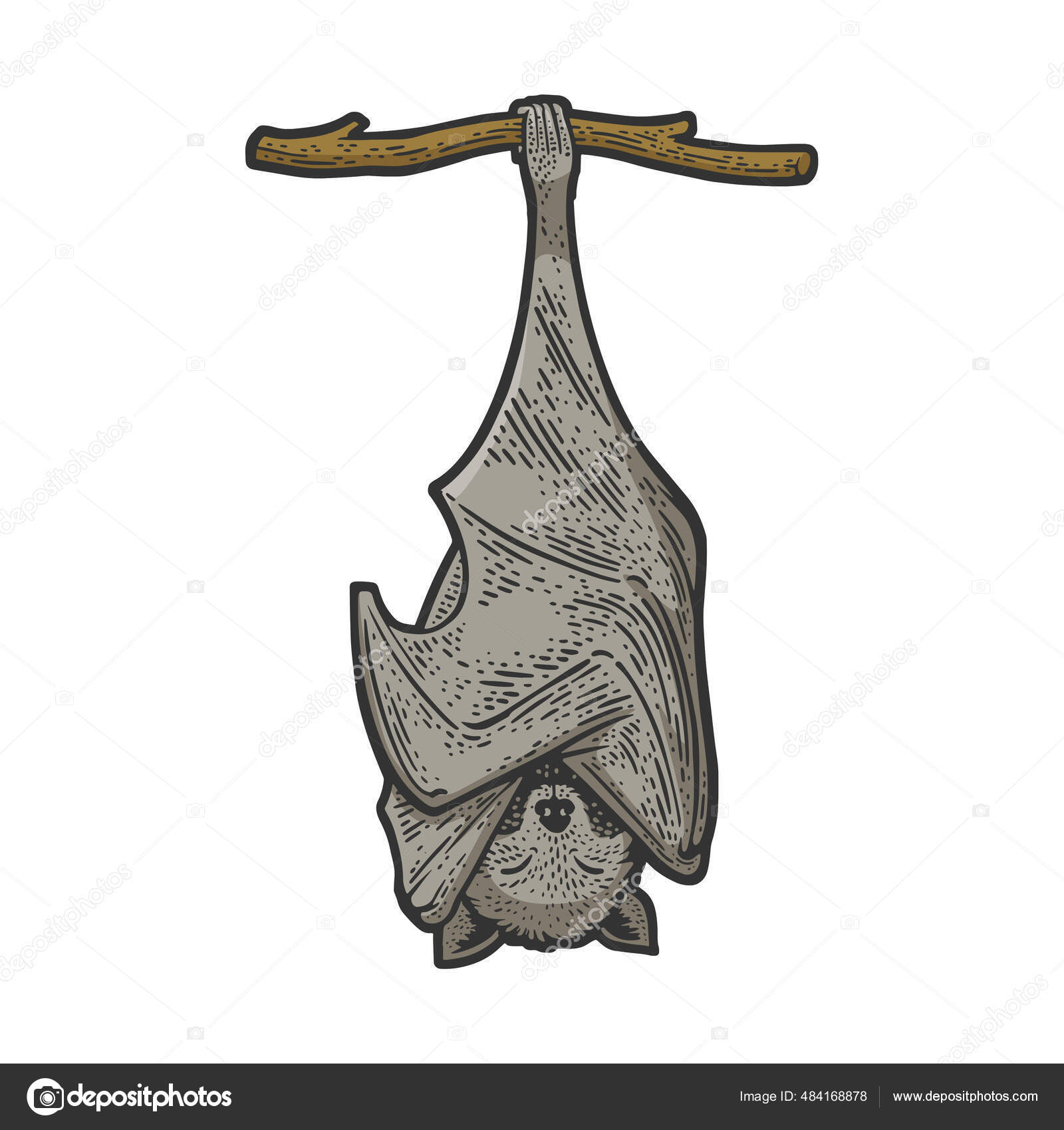 Sleeping Bat Silhouette