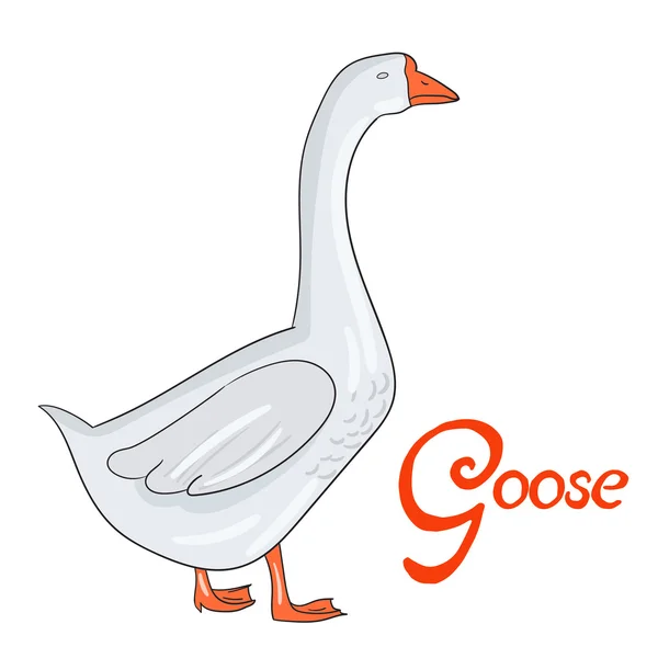 Ganso de dibujos animados imágenes de stock de arte vectorial ...