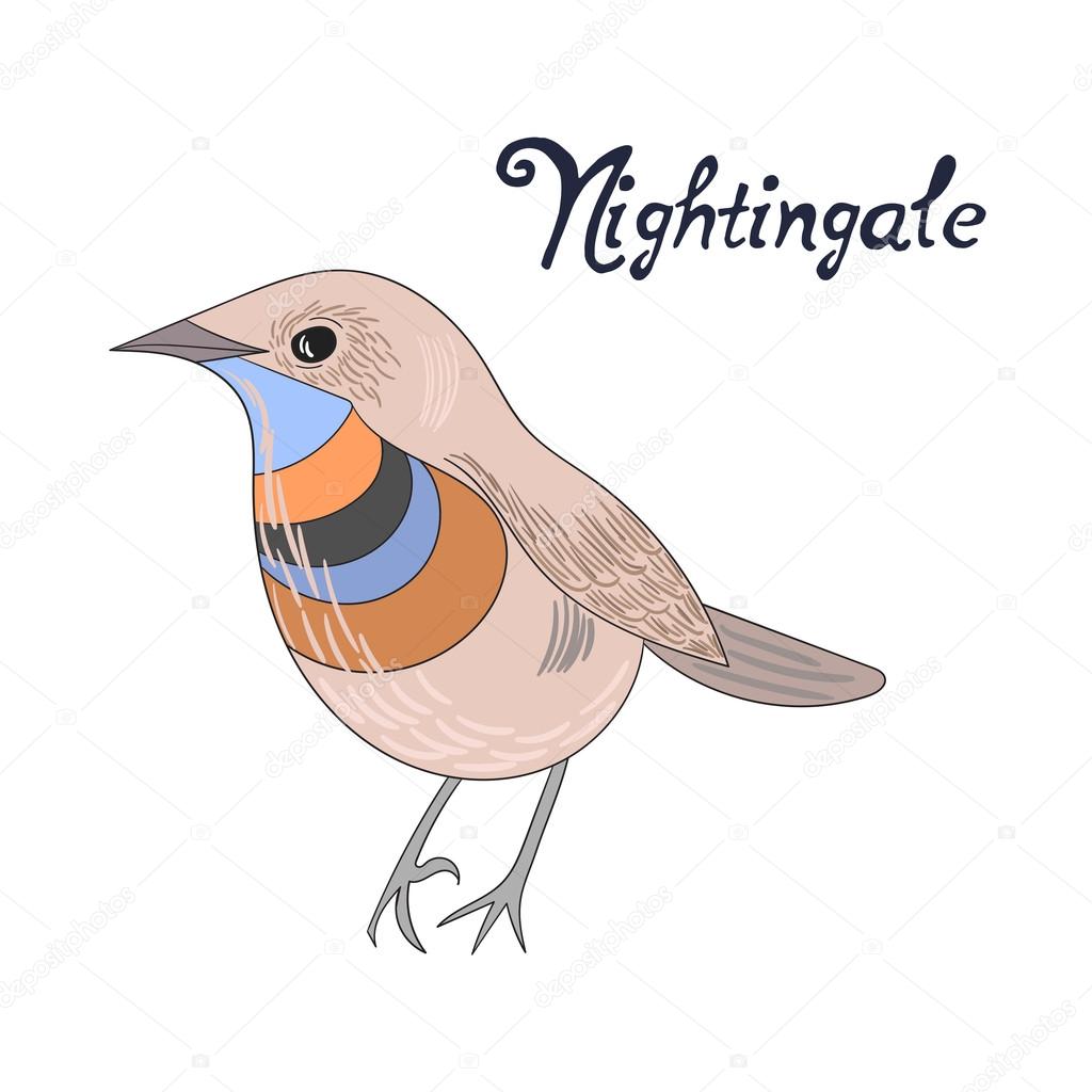 Nightingale Cartoon