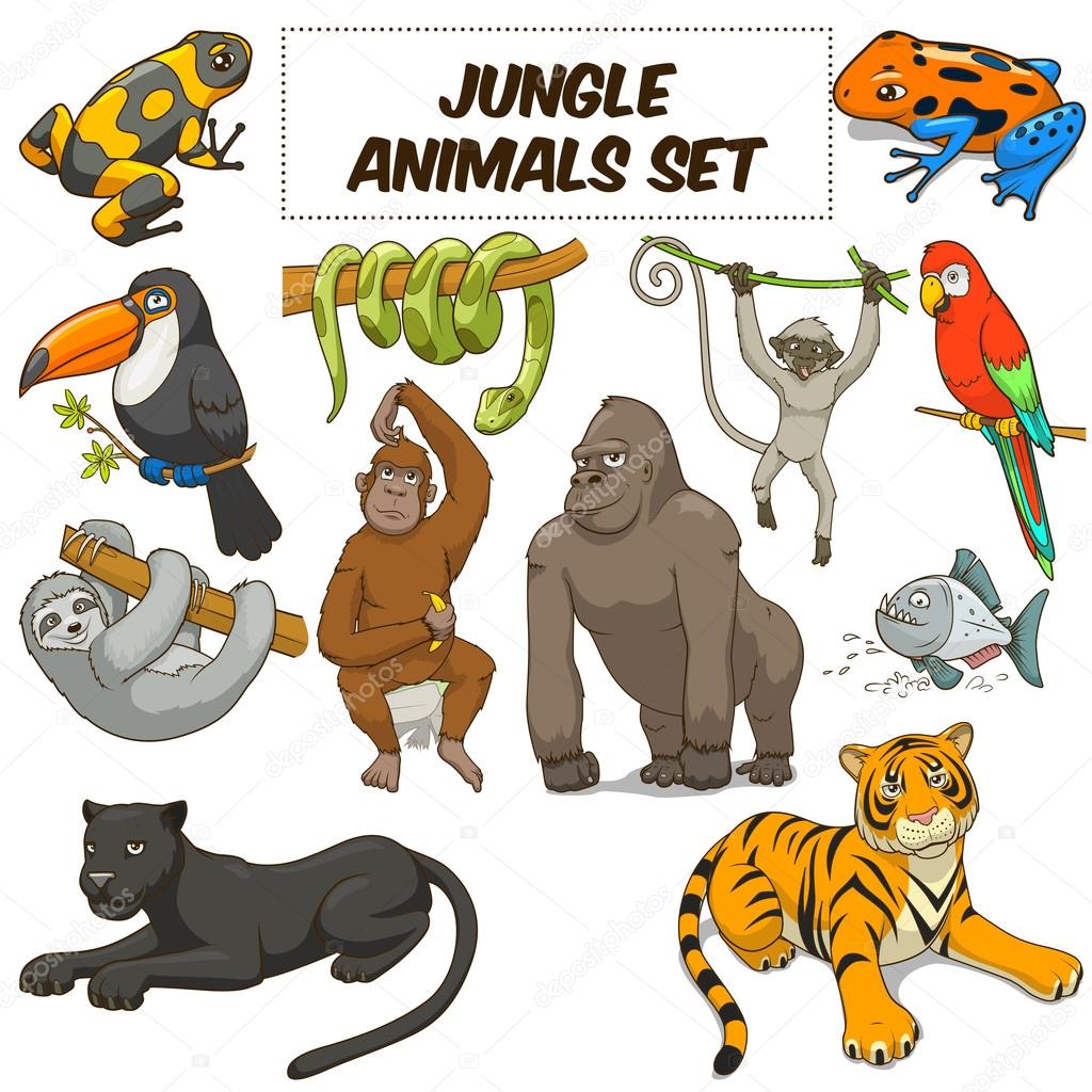 10 Dibujos De Animales De La Selva Amazonica – Bilarasa 10 Dibujos De Animales De La Selva Amazonica – Bilarasa