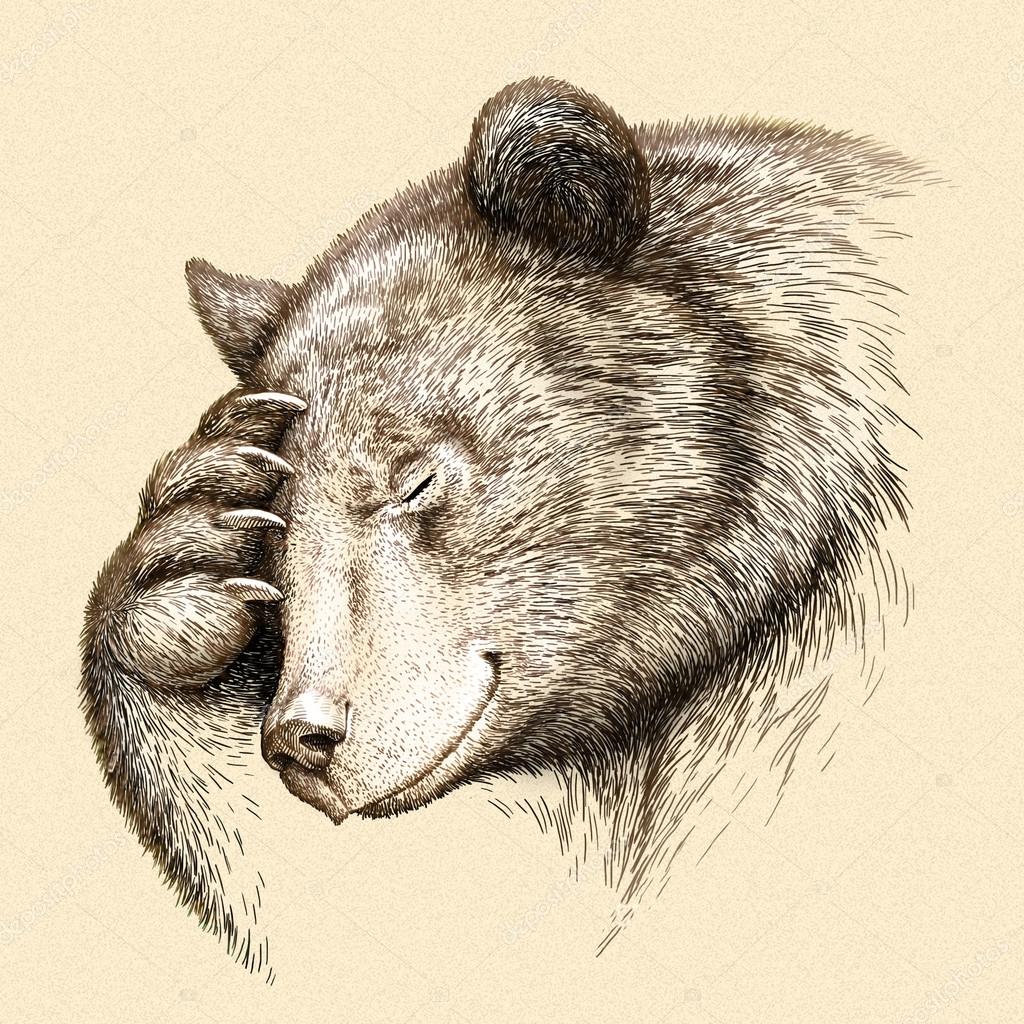 Engrave bear illustration — Stock Photo © DoubleBubble #87007014