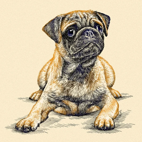 Pes obrys stock fotografie, royalty free Pes obrys obrázky ...