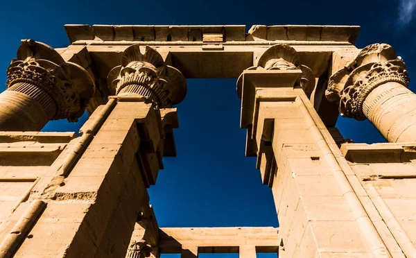 Isis tree Stock Photos, Royalty Free Isis tree Images | Depositphotos