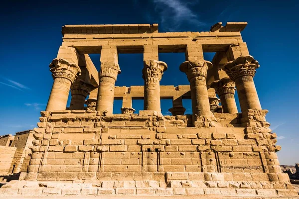 Isis tree Stock Photos, Royalty Free Isis tree Images | Depositphotos