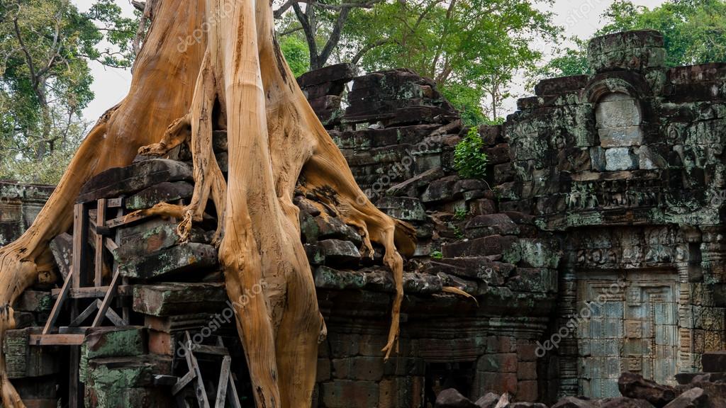 A tree sitting on an ancient temple in Angkor Wat-Ta Phrom — Stock ...