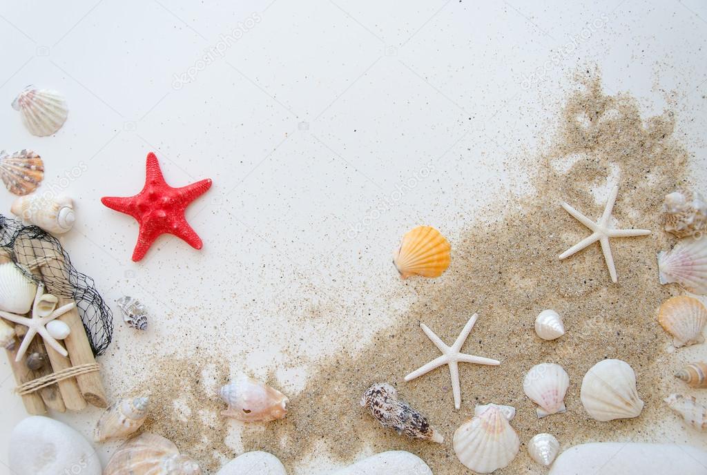 White Beach Sand Shells