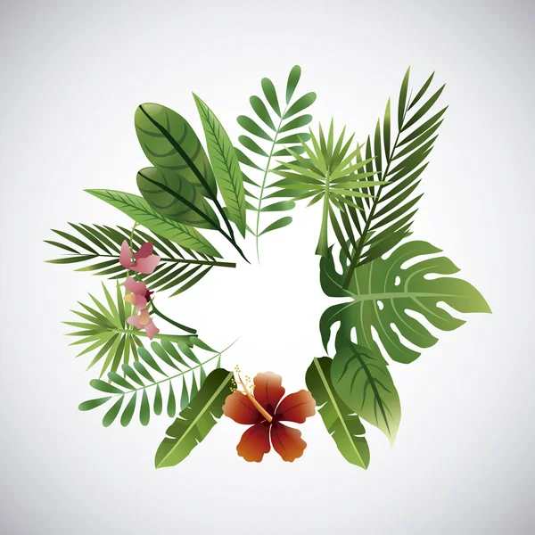 Tropical flower design. floral icon. natural concept, vector ...