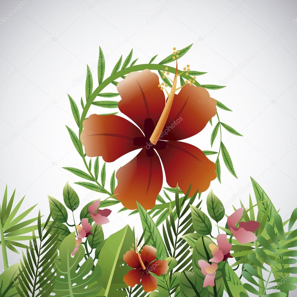 Tropical flower design. floral icon. natural concept, vector ...