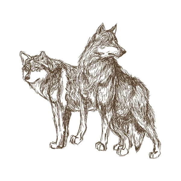 Wolf Couple Drawing