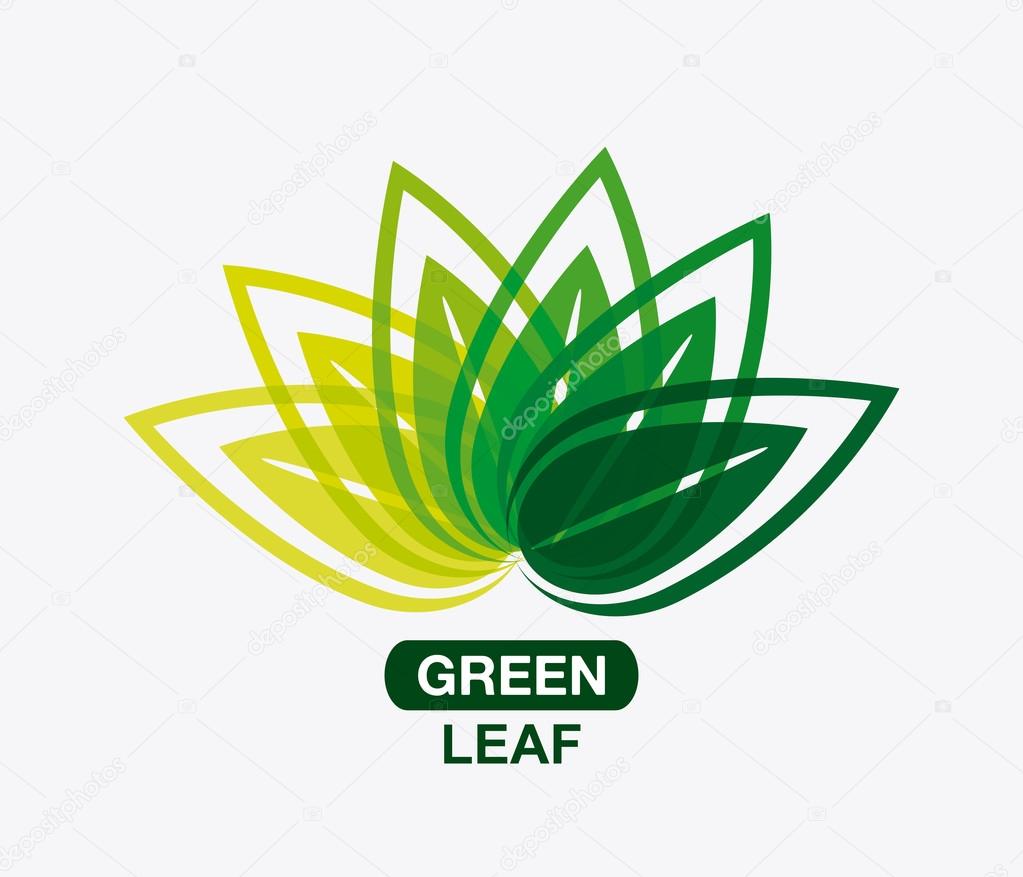 Diseño verde. icono de la hoja. Fondo blanco, vector gráfico Vector de ...