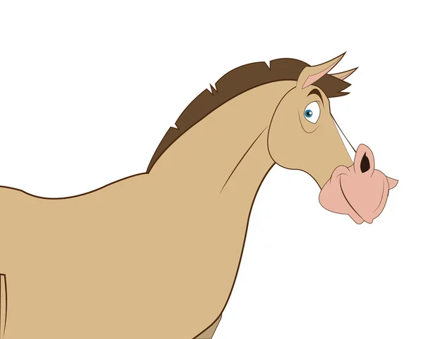 Equidae Vector Images | Depositphotos