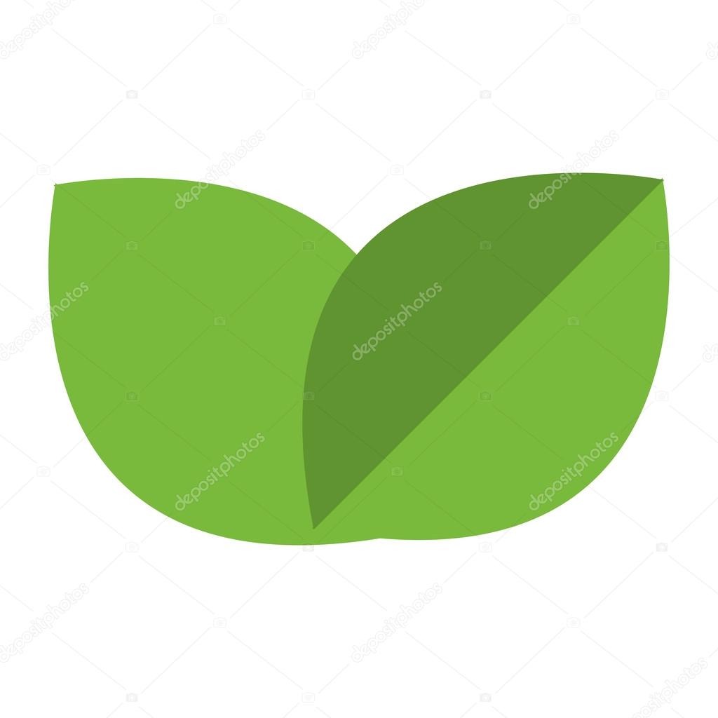 Simple leaves vector illustration Stock Vector by ©jemastock 116016212