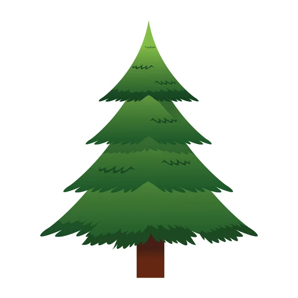 A big pine tree Stock Vector Image by ©interactimages #23460632