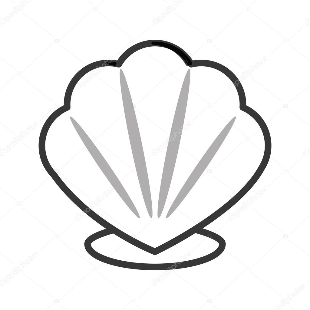 Simple Shell Drawing