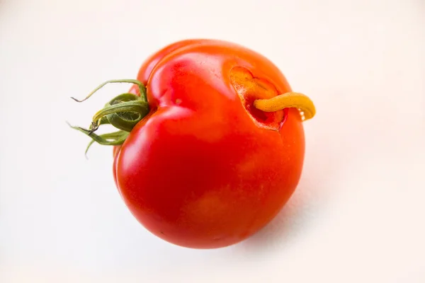 A worm climbs out of a red ripe tomato vegetable Stock Photo by ...
